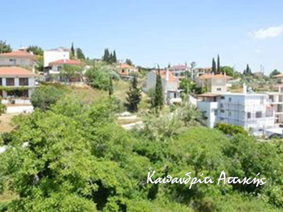 Διάλεξη του Δρ. Μάνου Δανέζη στο Καπανδρίτι το Σάββατο 18 Νοεμβρίου ...